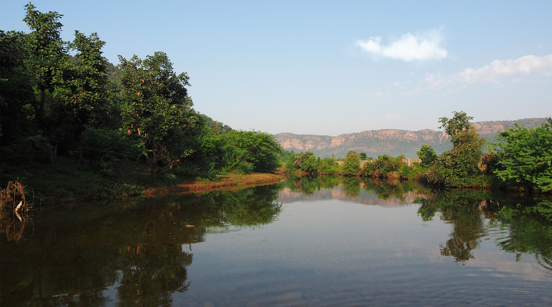 Ranthambore National Park Safari | Tiger Reserve & Safari Booking